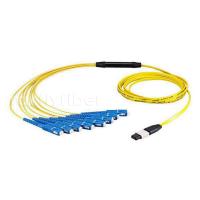 China MPO Fan Out Cable MTP F - SC OM3 12/24/48 Core Fiber Optic Patchcord for sale