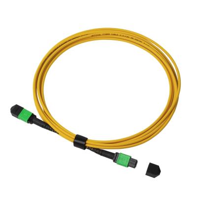 China 8F 12F 24F MTP MPO Fiber Trunk Cable LSZH For 10G 40G 100G 400G for sale