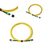 China LSZH 4/8/12/24C Fiber Optic Patch Cable MPO To MPO SM G657A1 for sale