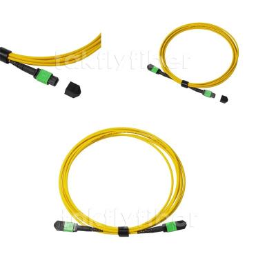 China LSZH 4/8/12/24C Fiber Optic Patch Cable MPO To MPO SM G657A1 for sale