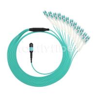China Data Center Fiber Optic Patchcord 24F MPO To 12 LC DX Uniboot OM3 3.0mm for sale