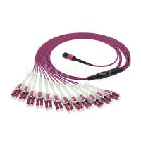 China 24 Cores MPO To LC OM4 Fiber Optic Patchcord LSZH Violet Jacket 12 LC Duplex Uniboot for sale