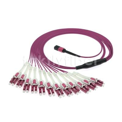 China 24 Cores MPO To LC OM4 Fiber Optic Patchcord LSZH Violet Jacket 12 LC Duplex Uniboot for sale
