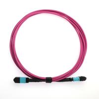China 12 Fibers OFNP Plenum OM4 Magenta MTP Fiber Patch Cord for sale
