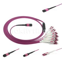 China Fiber Optic MTP MPO Patch Cord Cable 8 12 24 Core OM3 OM4 for sale