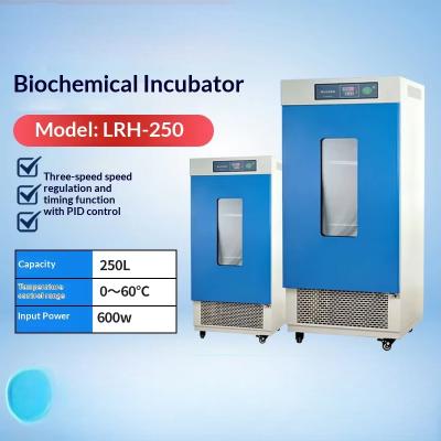 China Biochemical Incubator LRH Series Bacterial Breeding No Fluctuation Constant Temperature Humidity Control No Power Laboratory for sale