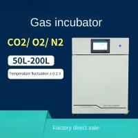China Professional 50L-200L Laboratory Tri-gas Incubator O2 Control 1-95% CO2 Control 0-20%Temp Range Rt+3~60°C for Cell Culture for sale