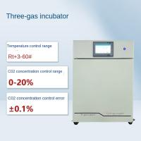 China Professional 50L-200L Laboratory Tri-gas Incubator O2 Control 1-95% CO2 Control 0-20%Temp Range Rt+3~60°C for Cell Culture for sale