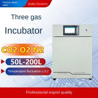 China Three-gas Hypoxia Incubator with Constant Temperature 0.2 Fluctuation for Cell Culture for sale