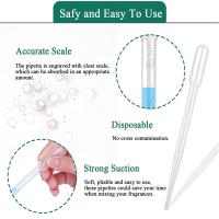China 1000pcs/Bag 0.2ml 10ml 5ml 1ml 2ml 3ml Clear Disposable Lab Science Plastic Squeeze Transfer Pipettes Pasteur Pipette Dropper for sale