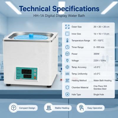 China Digital Laboratory Water Bath Heating Equipment for Chemical Reagent Warming and Temperature Control for sale
