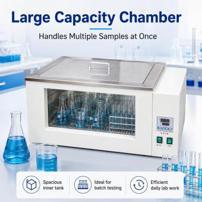 China Cenlee HH-40 Dual Window Constant Temperature Water Bath Digital Laboratory Circulating Bath for Chemical Research Testing for sale