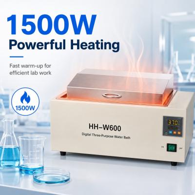 China Cenlee Laboratory Digital Water Bath 600x300x150mm Fast Heating PID Control for Chemical Biological Research and Sample Testing for sale