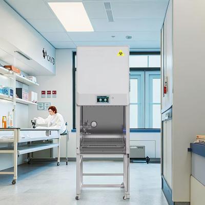 China Durable All-Steel Biosafety Cabinet, Protects Operator & Samples (Class II), Perfect for PCR, Tissue Culture Labs for sale