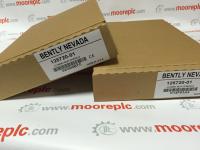 China VIBRATION MONITOR DUAL 4-20MA Bently Nevada 3500 System 3300/15 for sale