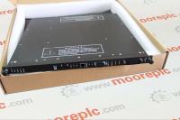 China 9674-810 Triconex DCS Module CSA EXPLOSION PROOF BUNA-N ELASTOMERIC DIAP New and original for sale