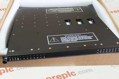 China 0.33 lbs Triconex DCS Module 8312 Manufactured by EBM PAPST PAPST Reasonable price for sale