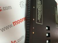 China Triconex DCS Module 9753-110  1700X600 100PLINTH+1200EQUIP+400ROOF High reliability for sale