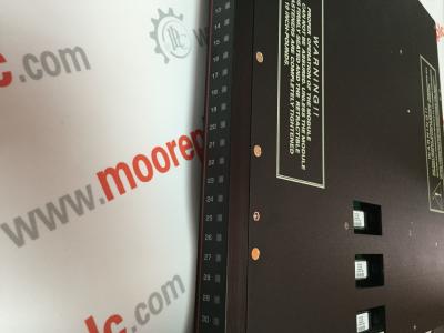 China Triconex DCS Module 9753-110  1700X600 100PLINTH+1200EQUIP+400ROOF High reliability for sale
