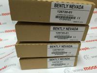 China Bently Nevada 3500 System 3500/65 SALDET AMBITECH 35-0065 - SHORT STOP BD 50% off for sale