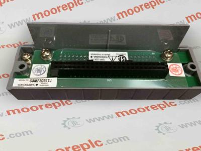 China Yokogawa Plc DCS AAI543-H00 S1 Current / Voltage Input Modules Non - Isolated for sale