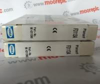 China F 7113 | HIMA | Power Supply Module    F 7113 for sale