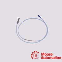 China 330101-00-19-10-02-05 Bently Nevada NSv Proximity Transducer System for sale