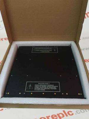 China Triconex DI6503/DI 6503 Digital Input Module for process control for sale