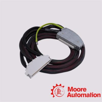 China TC-313-02  ICS Triplex Local Expansion Cable Assembly for sale