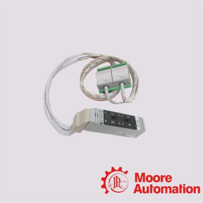 China DM900WT Foxboro  Industrial Termination Cable Assembly  For The Foxboro I/A Series Distributed Control System for sale