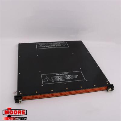 China 2007-2 TRICONEX  Input Module for sale