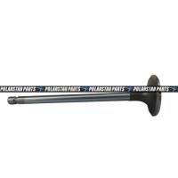 China Cummins Intake And Exhaust Valveslve NT855 Diesel Engine 145701 3803524 for sale