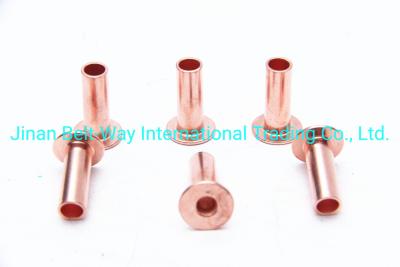 China Sinotruk HOWO Truck Parts Brake Lining Rivet Wg9231340068 Standard and Durable 10*22mm for sale