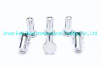 China Sinotruk HOWO Truck Parts Brake Lining Rivet Wg9231340068 Standard and Durable 10*22mm for sale