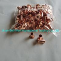 China Sinotruk HOWO Truck Parts Brake Lining Rivet Wg9231340068 Standard and Durable 10*22mm for sale