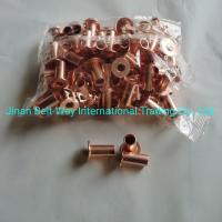 China Sinotruk HOWO Truck Parts Brake Lining Rivet Wg9231340068 Standard and Durable 10*22mm for sale