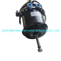 China Sinotruk HOWO Truck Parts Brake Chamber Wg9000360601 Battery for Electrical System for sale