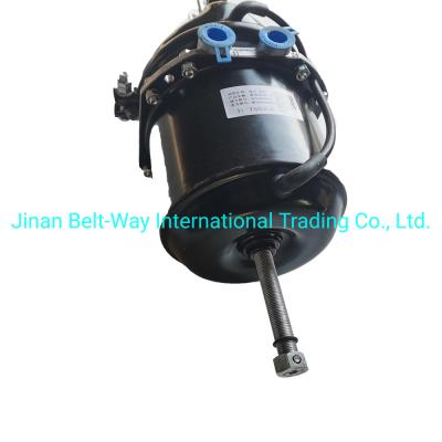 China Sinotruk HOWO Truck Parts Brake Chamber Wg9000360601 Battery for Electrical System for sale