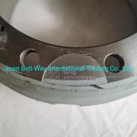 China Electrical System Parts Battery for Sinotruk HOWO Truck Brake Drum Wg9231342006 Durable for sale