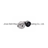 China Contact for Shipping Cost Sinotruk HOWO Parts Automatic Tension Roller Tensioner Pulley for sale
