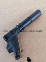 China Enhance Your Sinotruk HOWO D12 Engine's Performance with Vg1246080036 Injector for sale