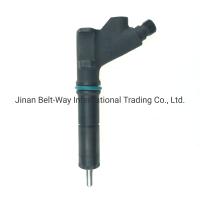 China Custom Made Truck Parts Vg1246080036 Fuel Injector CE Certified and Low Shipping Cost for sale