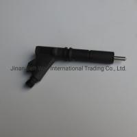 China CE Certified Fuel Injector for Engine Part VG1246080036 for sale