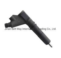 China CE Certified Fuel Injector for Engine Part VG1246080036 for sale