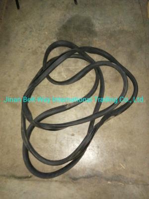 China Sinotruk HOWO Truck Parts Windshield Sealing Rubber Wg1642710002 Standard Competitive for sale