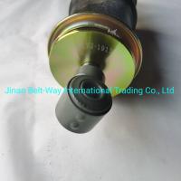 China Wheel Balloon Shock Absorber Wg1642440086 for Sinotruk HOWO Truck Parts in South Asia for sale