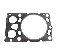 China 0.300kg Gross Weight Vg1246040021 Cylinder Head Gasket for Sinotruk HOWO Engine Parts for sale