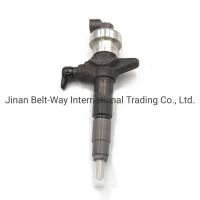 China Standard Iron Body Material Upscale Injectors for Sinotruk Parts Vg1246080051 at Affordable for sale