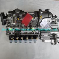 China Sinotruk HOWO Truck Parts Fuel Injection Pump Vg1560080021 with USD Payment Support for sale