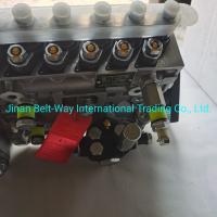 China Sinotruk HOWO Truck Parts Fuel Injection Pump Vg1560080021 with USD Payment Support for sale